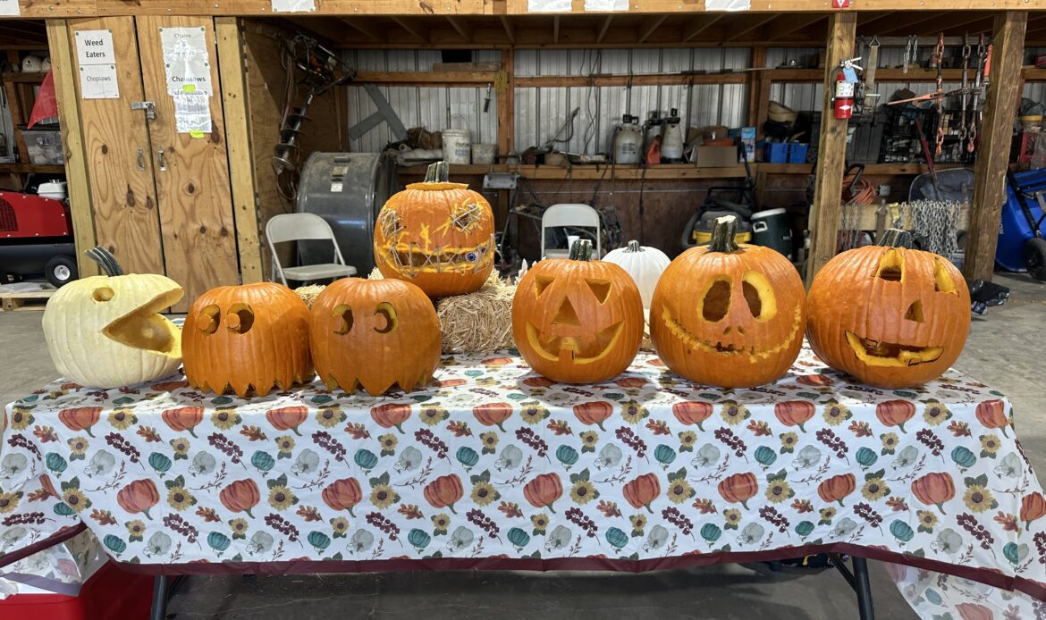 Celebrating the Season with Our Team: A Culture of Support and Growth ...